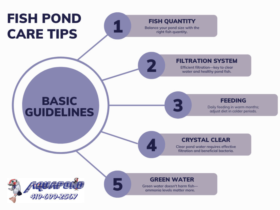 How to Stock and Manage Fish in Your Ohio Pond | Aquapond